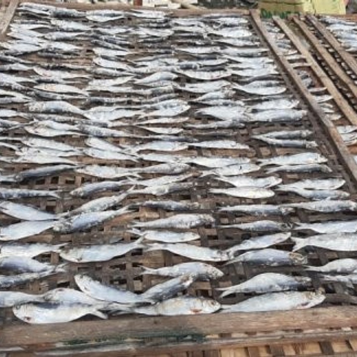 Tinapa at Tuyo from Bataan at 150.00 from Bataan. | LookingFour Buy ...