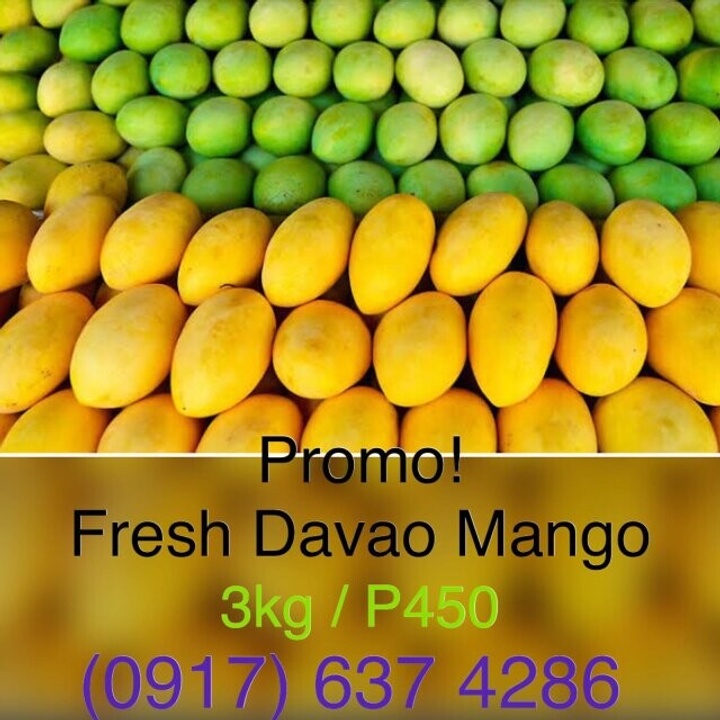 Fresh Davao Mango For Sale at 100.00 from National Capital Region (NCR ...