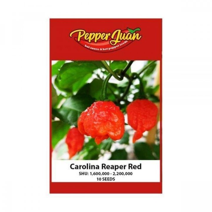 Red Carolina Reaper Seeds at 189.00 from Pampanga. | LookingFour Buy ...