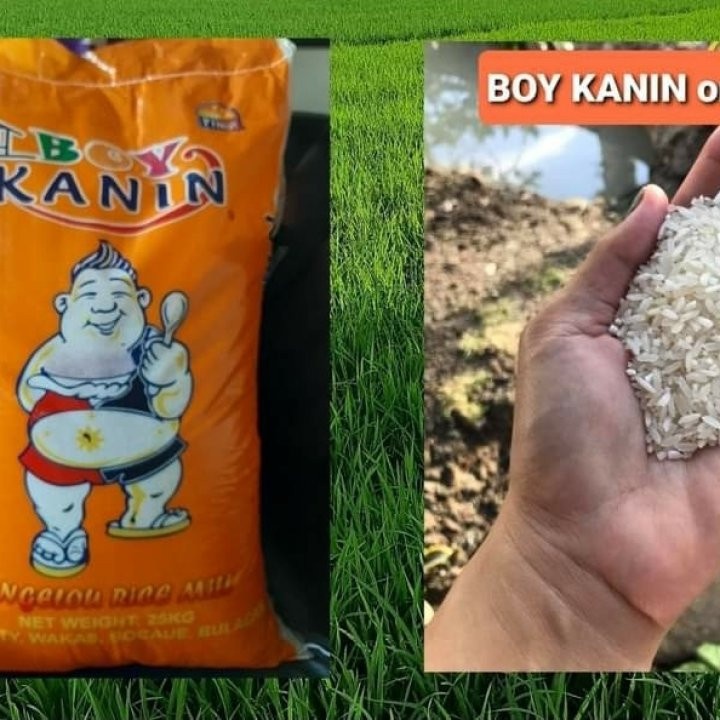 Boy Kanin whole grain (25 kilo) at 1175.00 from Bulacan. | LookingFour ...