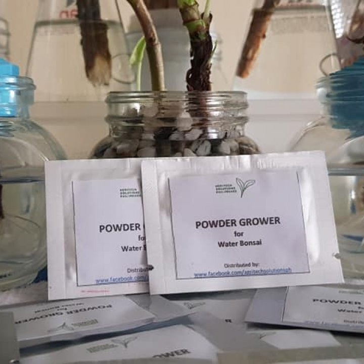 Grower Powder for Water Bonsai at 50.00 from Pampanga. | LookingFour ...