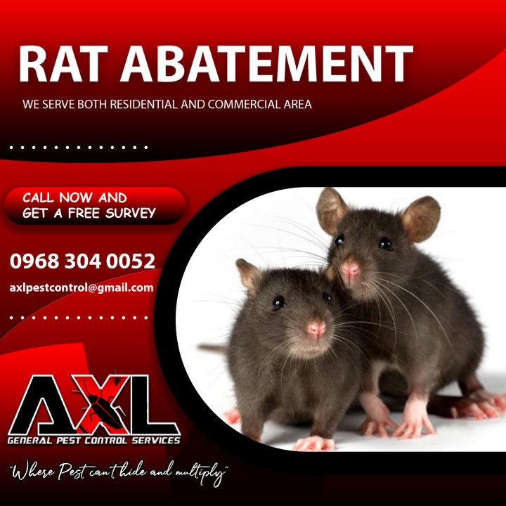 RAT ABATEMENT PEST CONTROL at 2500.00 from Pasay City. | LookingFour ...