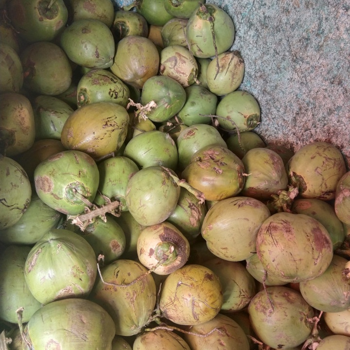 BJAY FRESH BUKO STORE at 40.00 from City of Makati. | LookingFour Buy ...