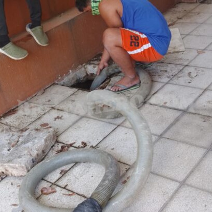 siphoning service at 2500.00 from City of Manila. | LookingFour Buy ...