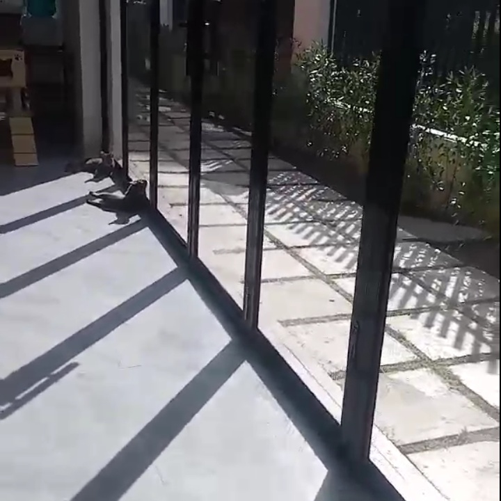 PLAIN STEPS 16*16 INCHES at 160.00 from San Mateo, Rizal. | LookingFour ...