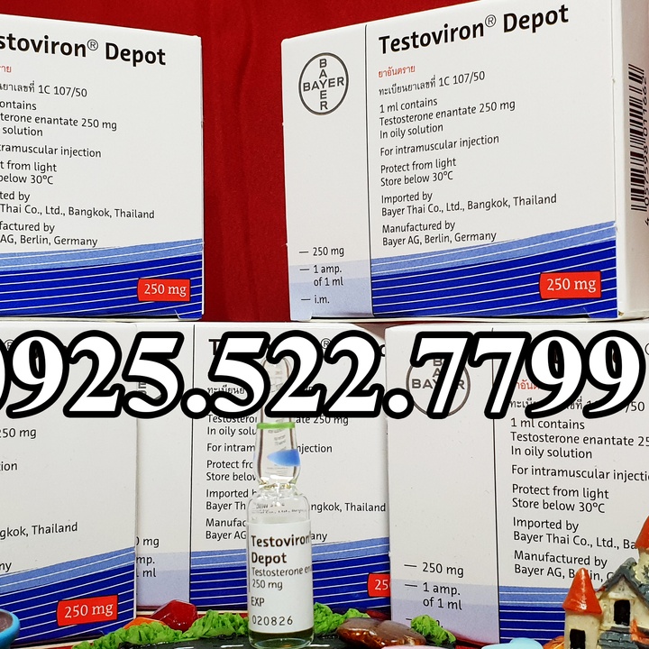TESTOVIRON DEPOT - TESTOSTERONE ENANTATE 250MG at 600.00 from Pasay ...