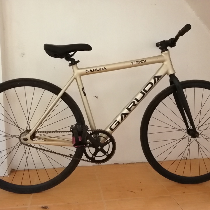 Garuda Tempest Alloy at 4000.00 from City of Caloocan. | LookingFour ...