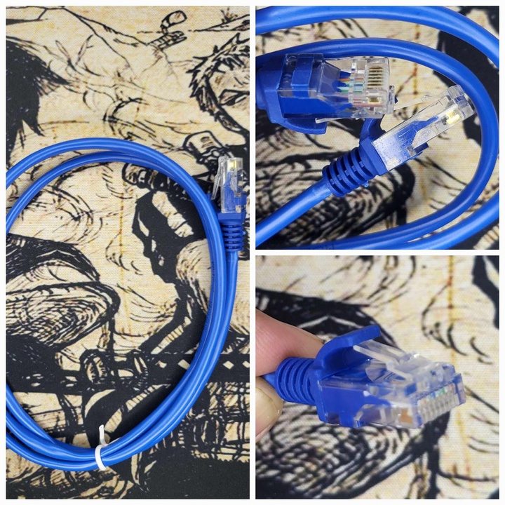 Blue RJ45 Ethernet Cable at 80.00 from City of Manila. | LookingFour ...