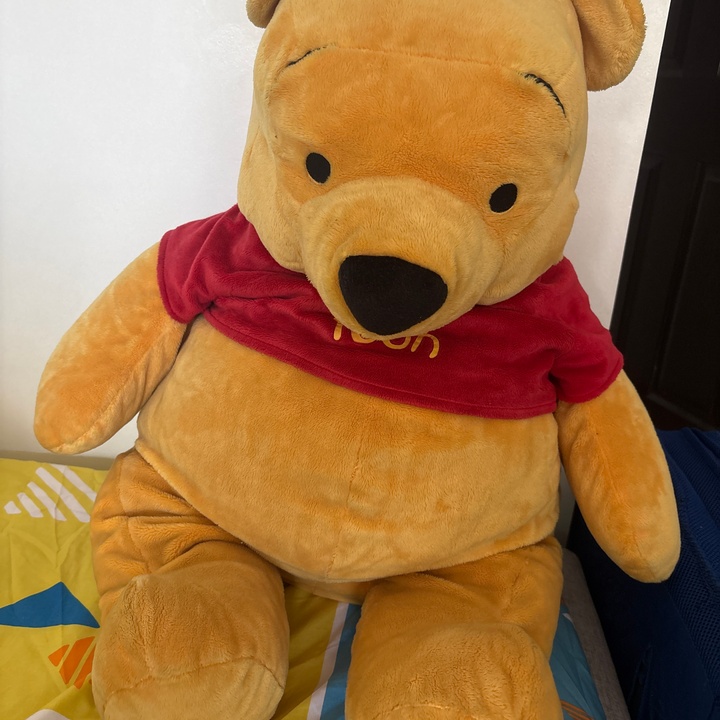 Winnie the pooh stuff toy at 500.00 from City of Marikina ...